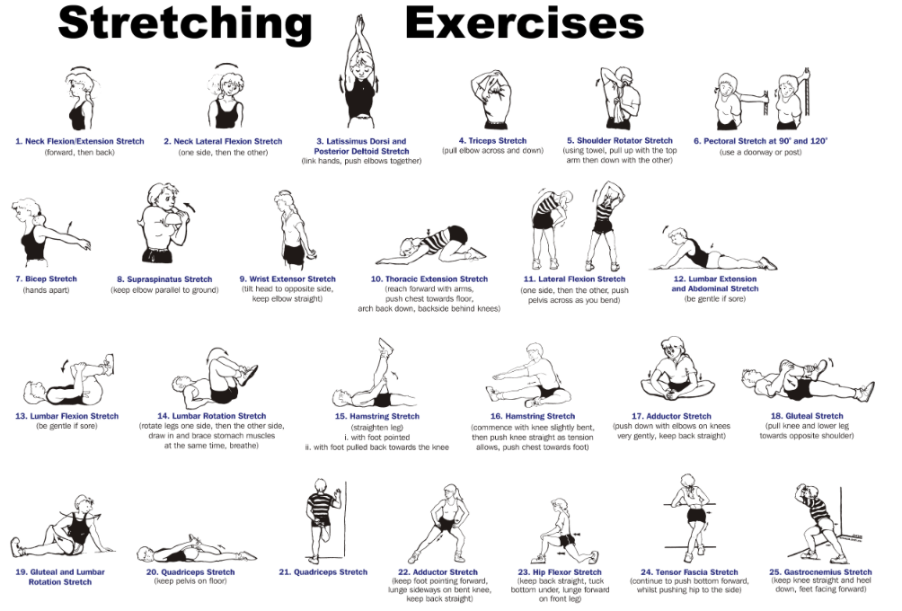 Haryati18: Pemanasan dinamis, statis dan pemanasan khusus dalam ...