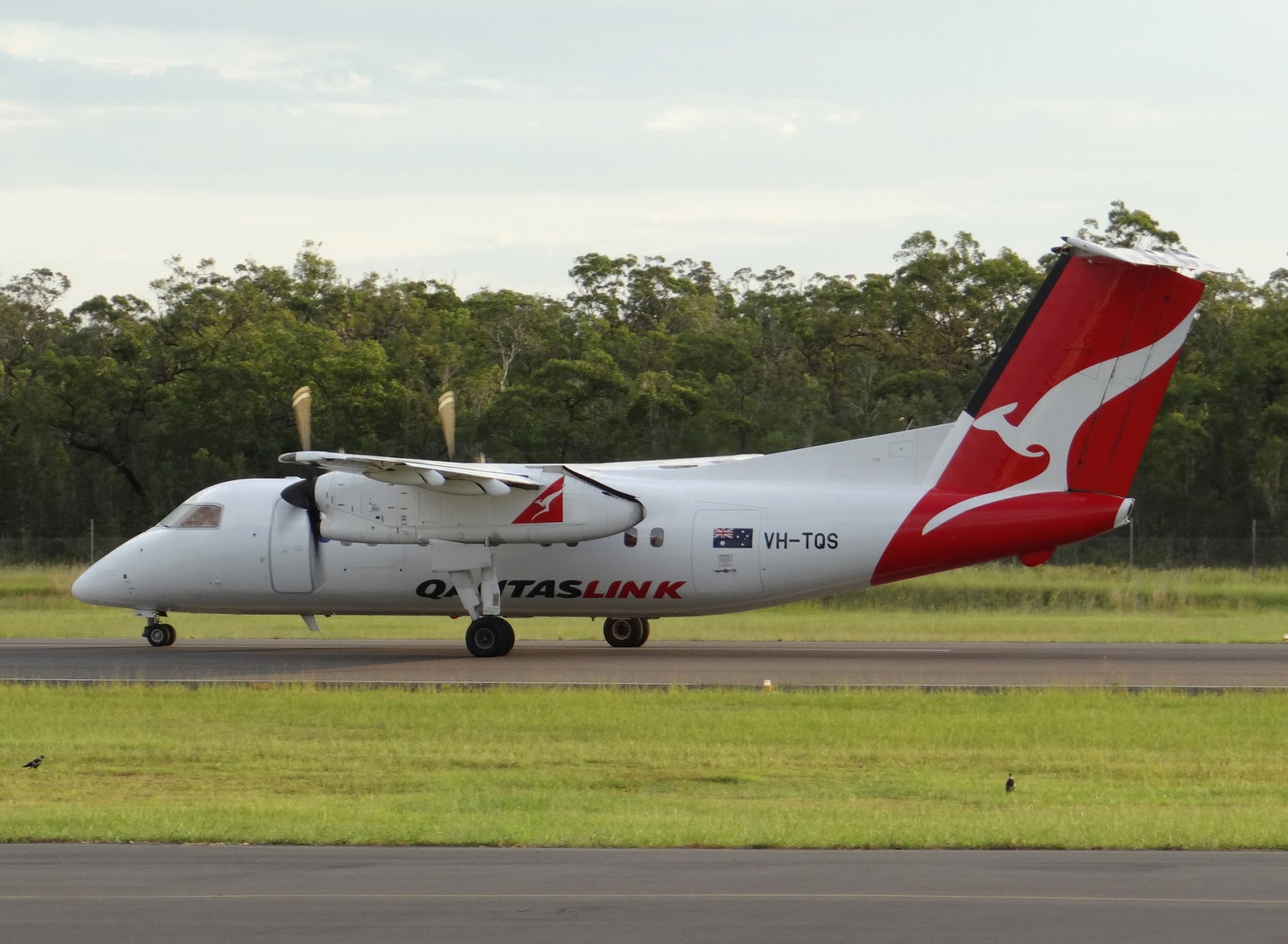 Air Queensland.blogspot: QantasLink de Havilland Dash 8-200 / Q200
