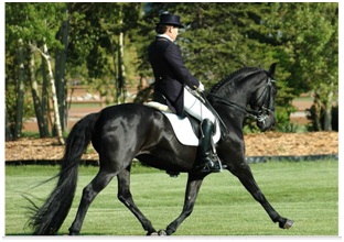 Welcome: About Tracy