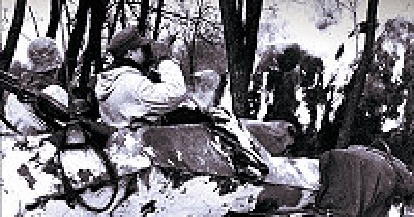 10mm Wargaming: The Sword Behind the Shield: A Combat History of the ...