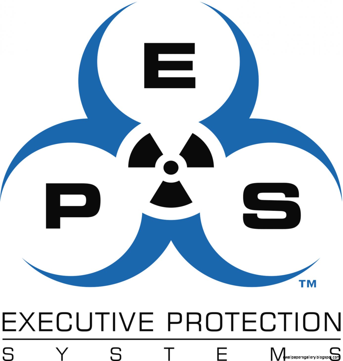 Executive Security Systems Png | Wallpapers Gallery