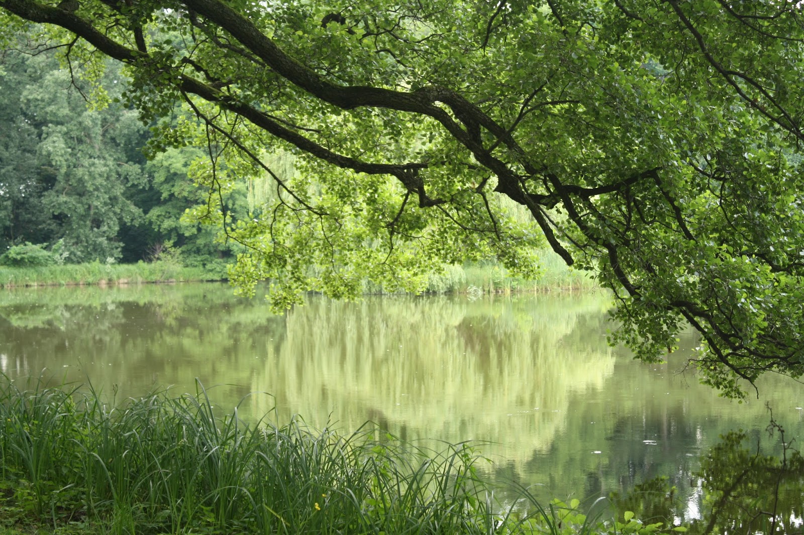 Kraina Wędrujących Wysp: Jezioro