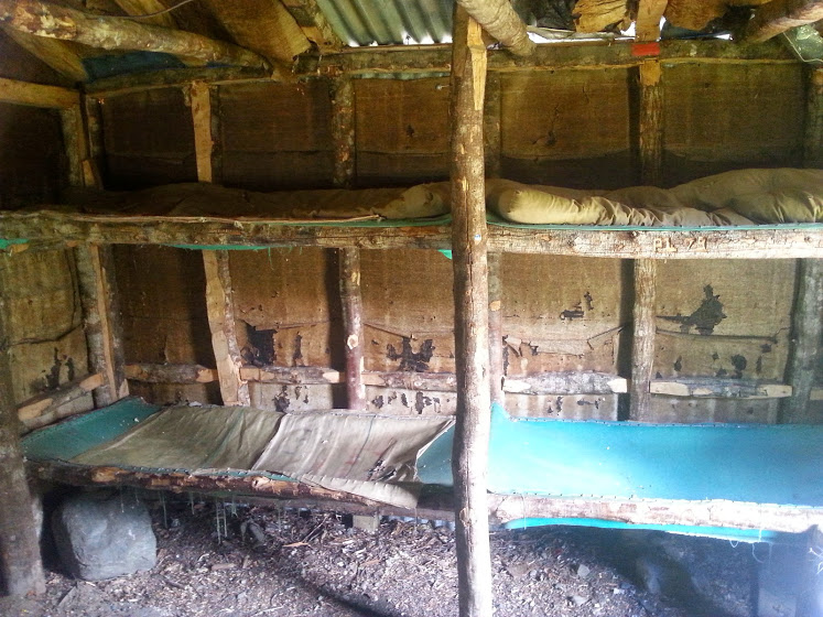 Tramping in the New Zealand backcountry: NZ Bush Adventures: Whats in a ...