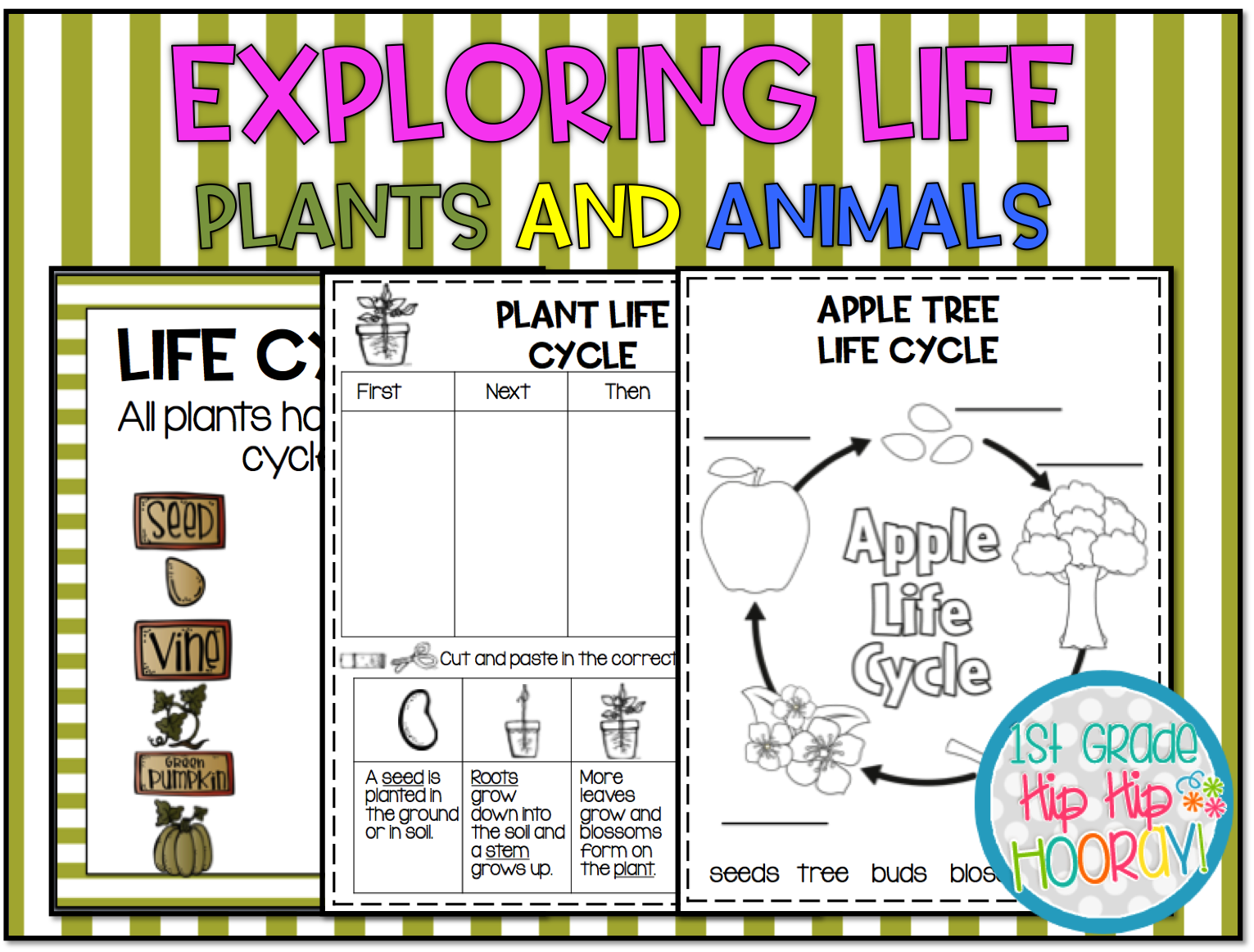 1st Grade Hip Hip Hooray!: Exploring Plants and Animals...NGSS