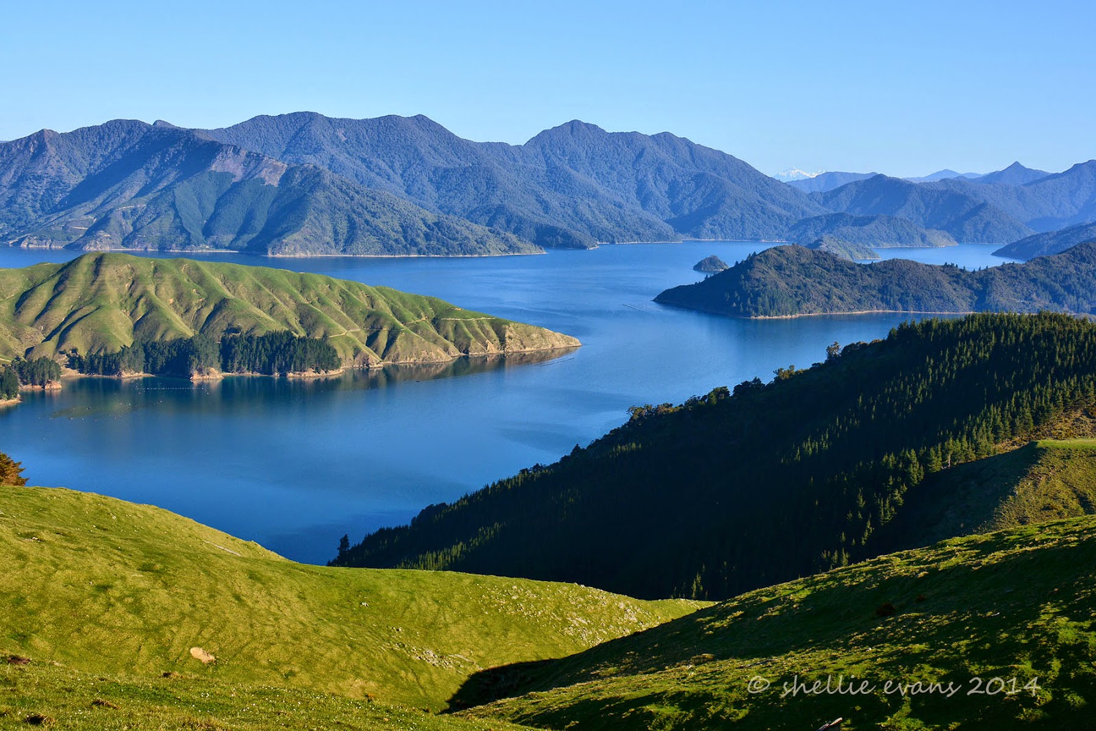 Two Go Tiki Touring: The Road to French Pass