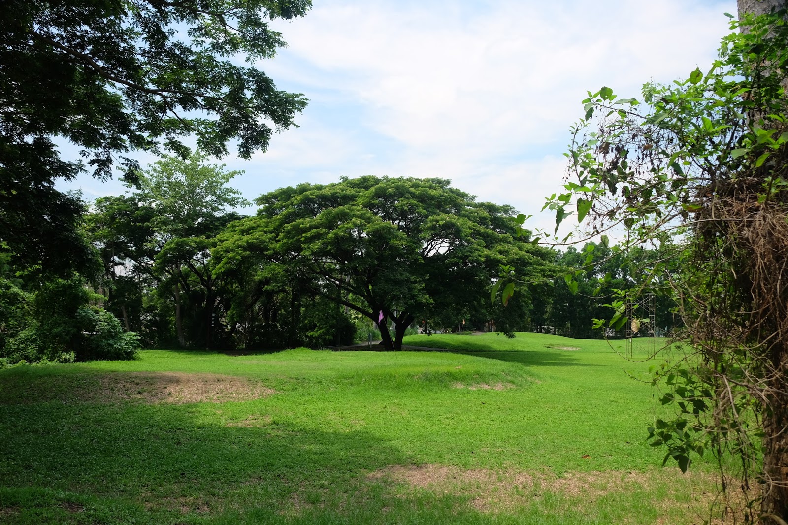 - tey's fleeting moments -: Team Building in The Greenery, Bulacan