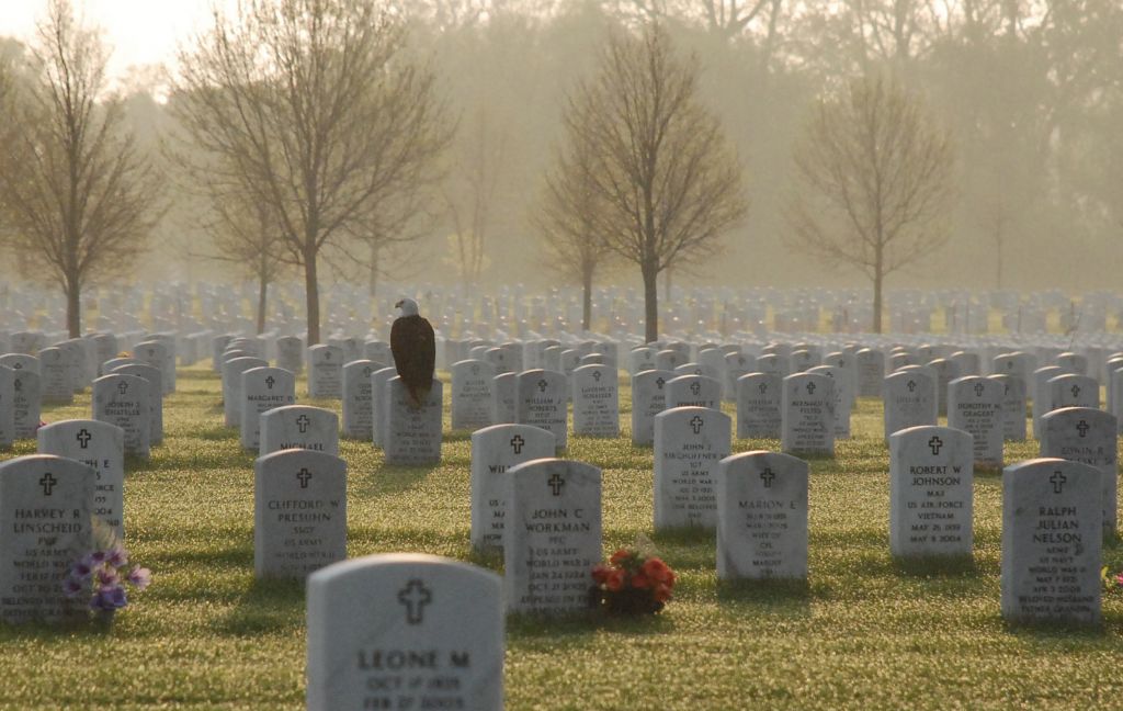 EBL: Eagle at Fort Snelling National Cemetery, Minneapolis, Minnesota