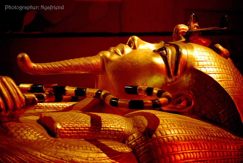 best photos 2 share: Professional Photographs Showing the Culture of Egypt