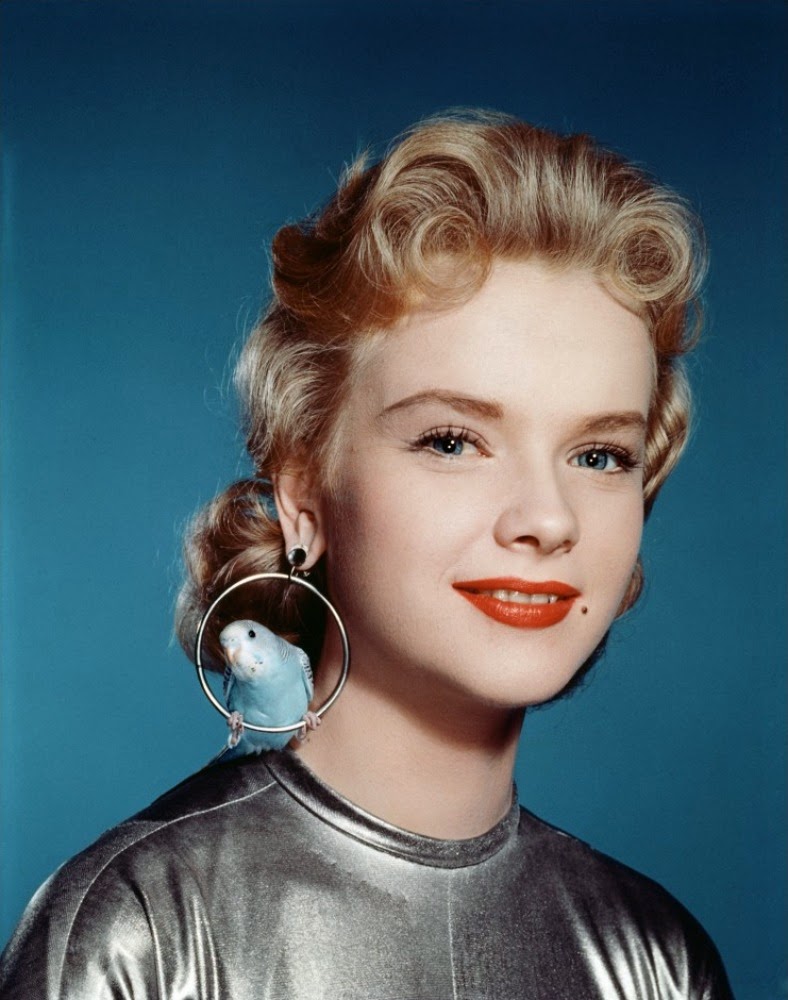 VINTAGE PHOTOGRAPHY: Anne Francis