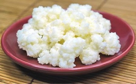 KÉFIR PROPIEDADES Y CUIDADOS