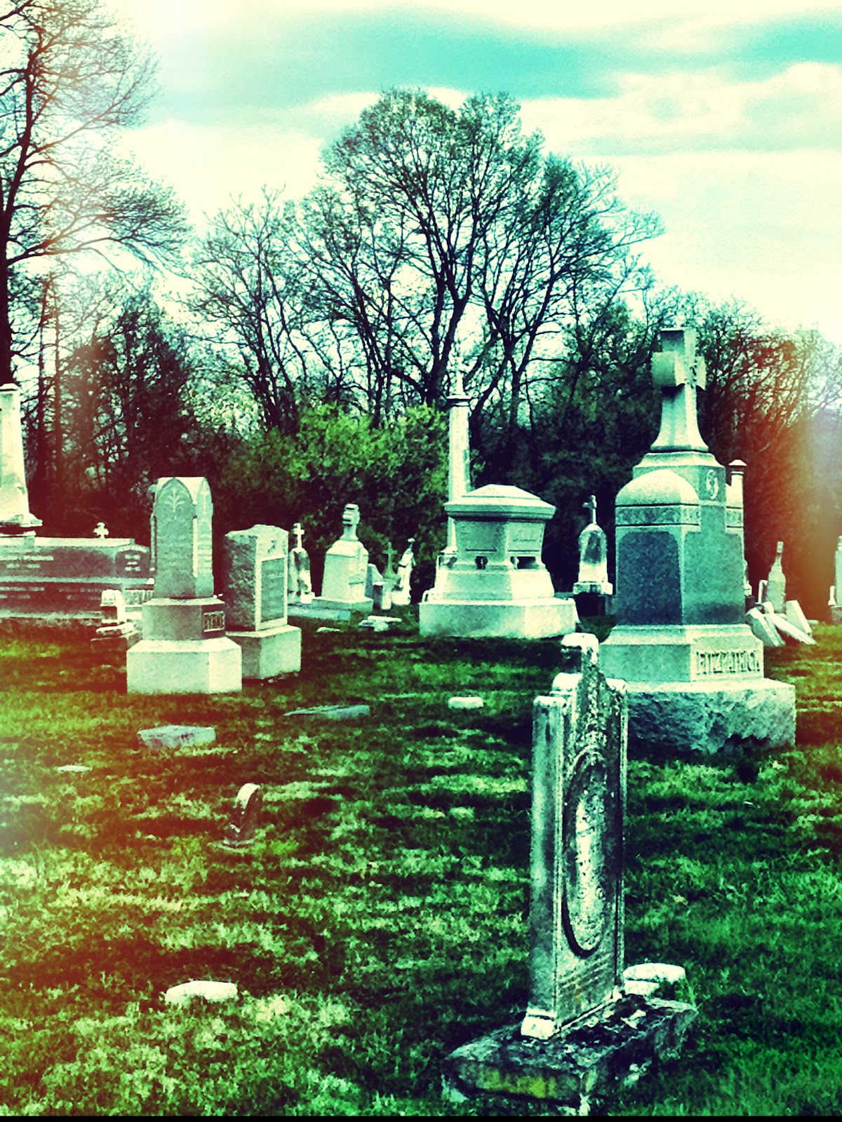 Reflections Upon My Skin: Stupendous Skulls