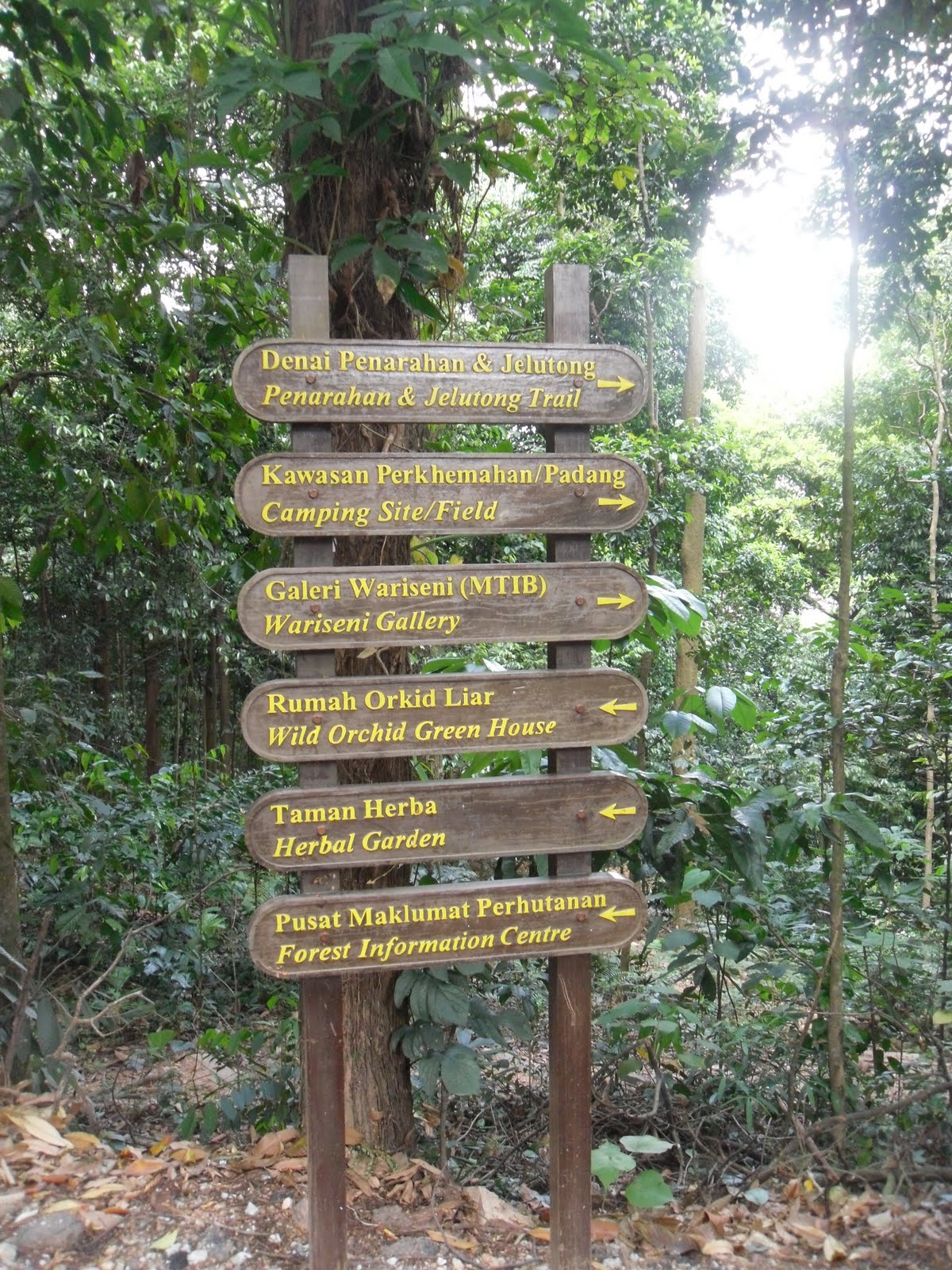 AzZeyAtin: KE KL TOWER - TAMAN EKO RIMBA KL