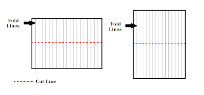 In Transition: The Fan Plan