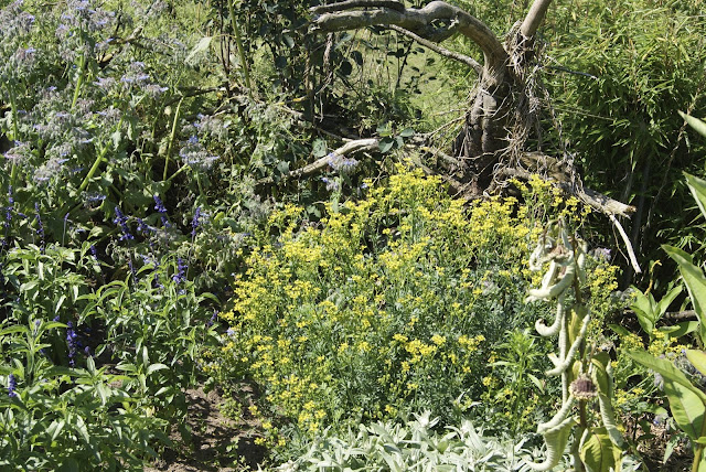 Besøg i Nordjylland I