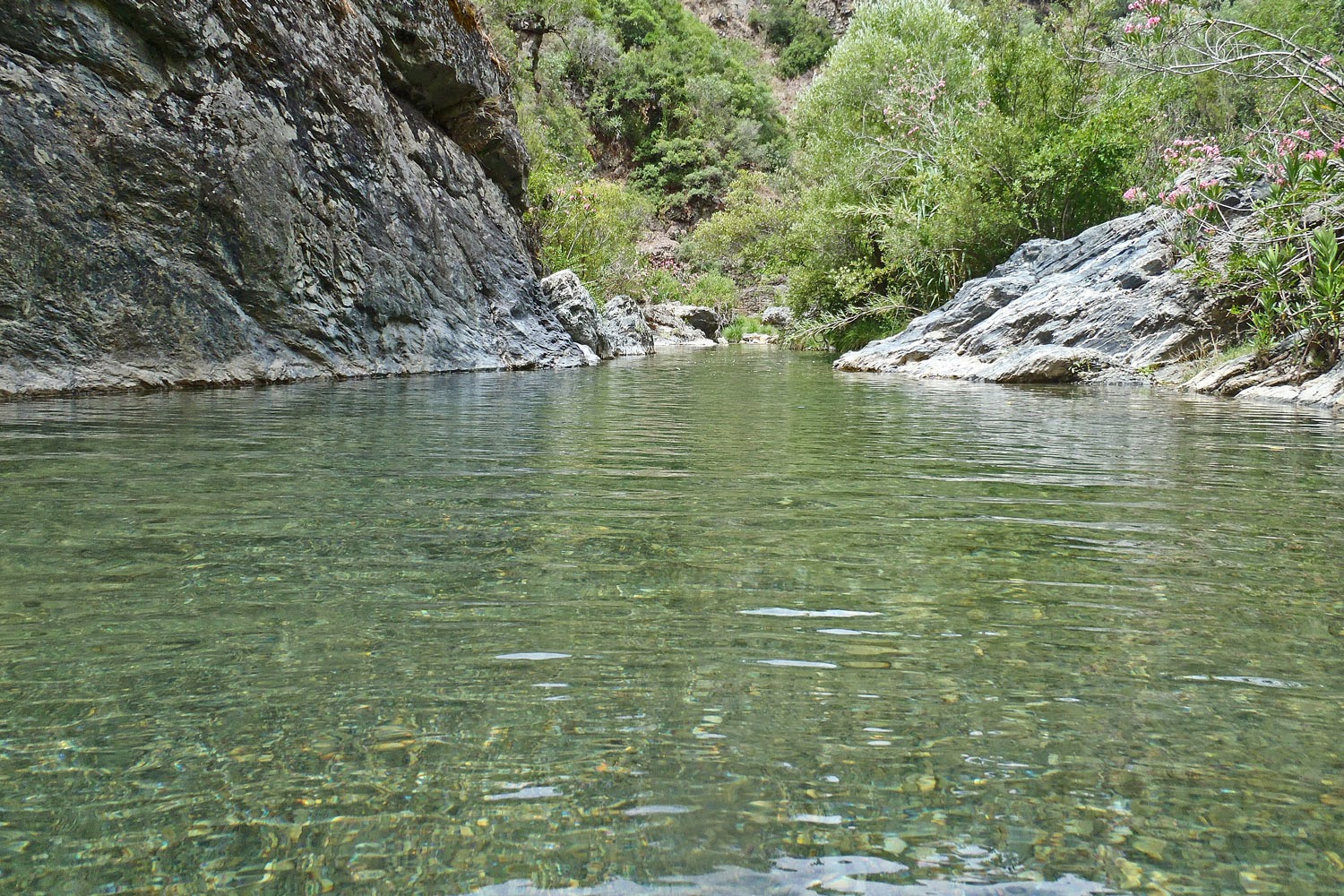 Tesoros de luz: Ríos limpios, ríos de vida