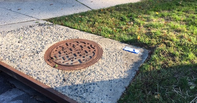 Slow the Flow: Three Oaks HOA: Storm Drain stickers help alert people ...
