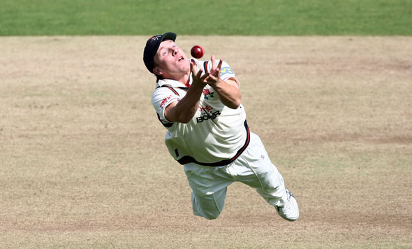 Aleda Costa: Amazing Cricket Catches Images