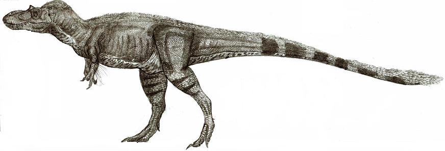 Los animales en la prehistoria: mayo 2013