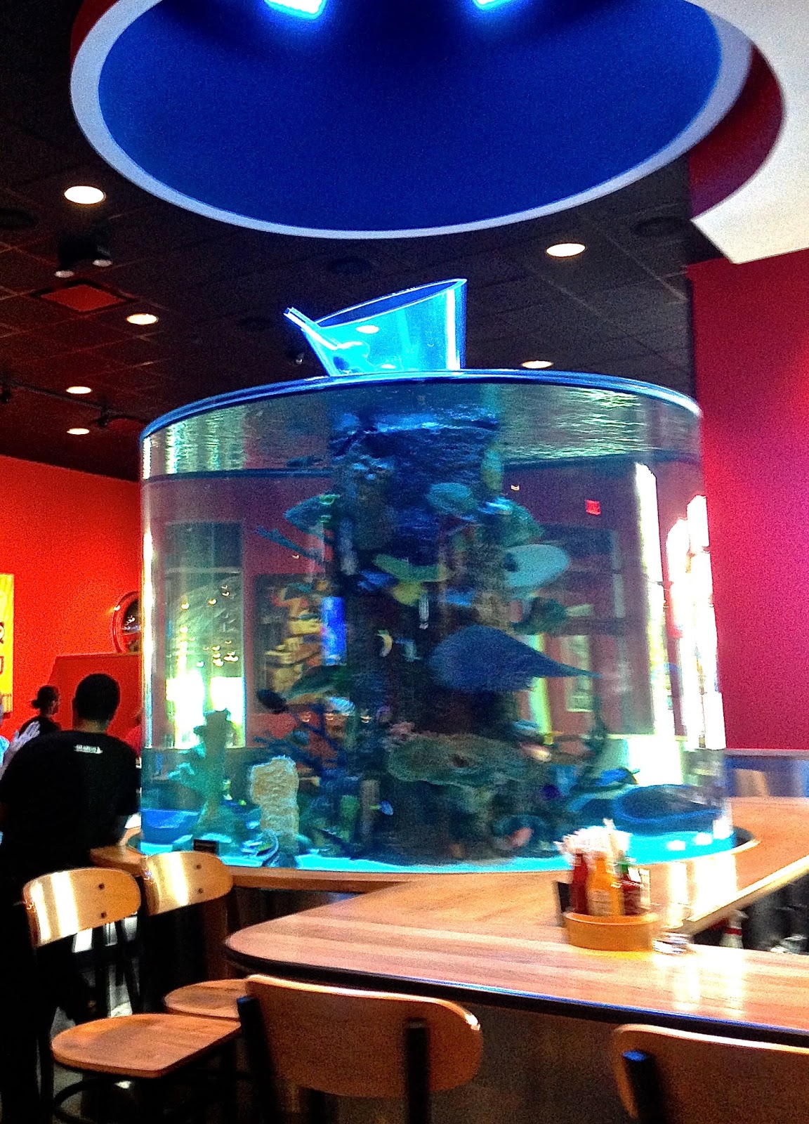 CowFish Raleigh Sushi Burger Bar Extraordinary For Everyone