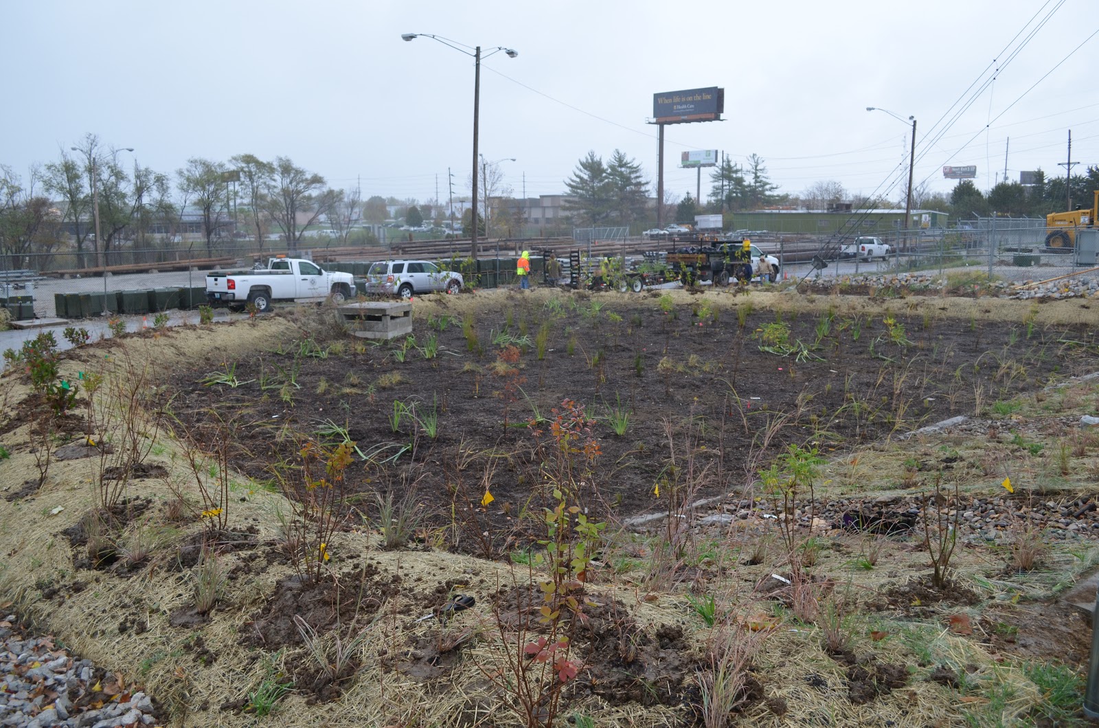 GoColumbiaMO Stormwater Utility: 319 Grant - Planting the Bioretention ...