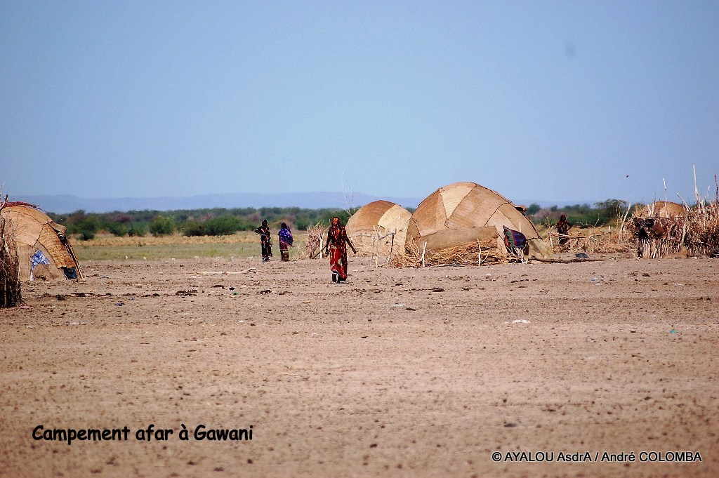 AYALOU AsdrA Terre Afar d’Ethiopie: Le peuple Afar