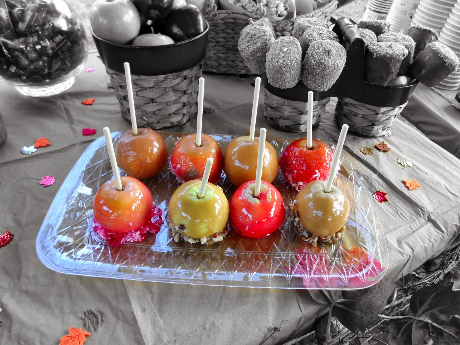 Antonette Belle Events : Harvest Festival at Donaldson Farms