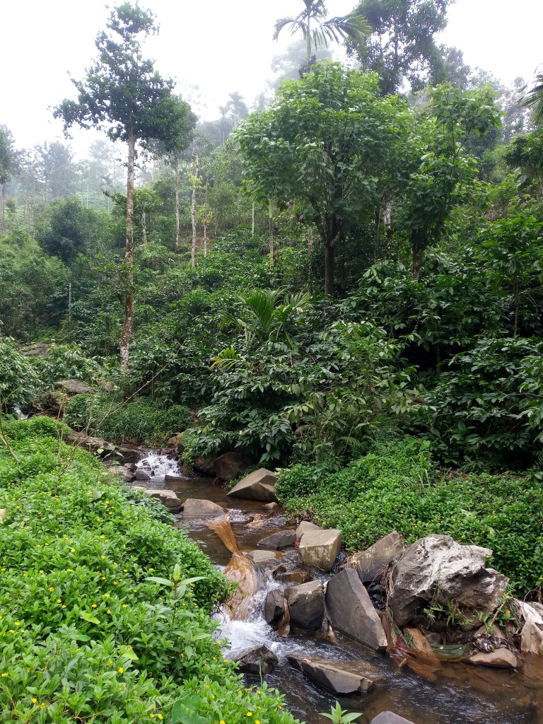Tamilnadu Tourism: Devala Waterfalls, Gudalur, Nilgiris