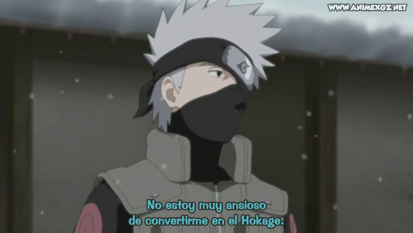 Todo el Anime: naruto 208 (mu)