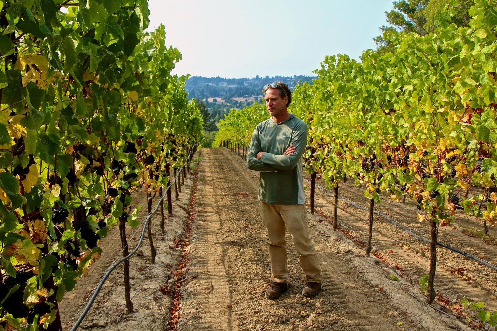 Getting down to seeds and stems at 2018 World of Pinot Noir