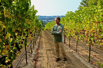 Getting down to seeds and stems at 2018 World of Pinot Noir