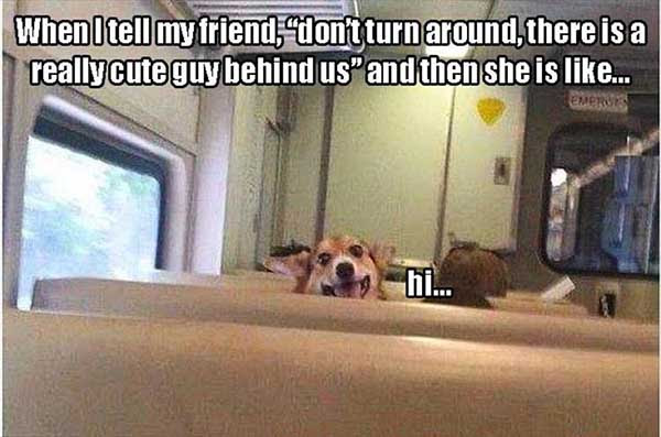 Today's Funny Pictures (25 Pics).