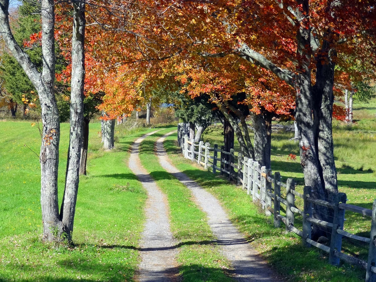 Joe's Retirement Blog: Country Lane, Fall, Plymouth, Massachusetts, USA