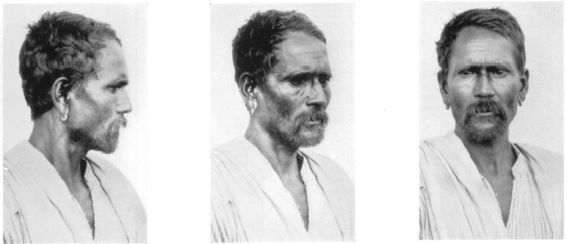 ΦΥΛΕΤΙΚΑ: Οι φυλετικοί τύποι της Ινδίας κατά Eickstedt