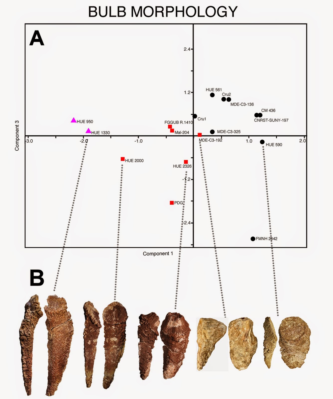 Dinosaur Renaissance: Osteodermos de titanosaurios de Lo Hueco: La historia