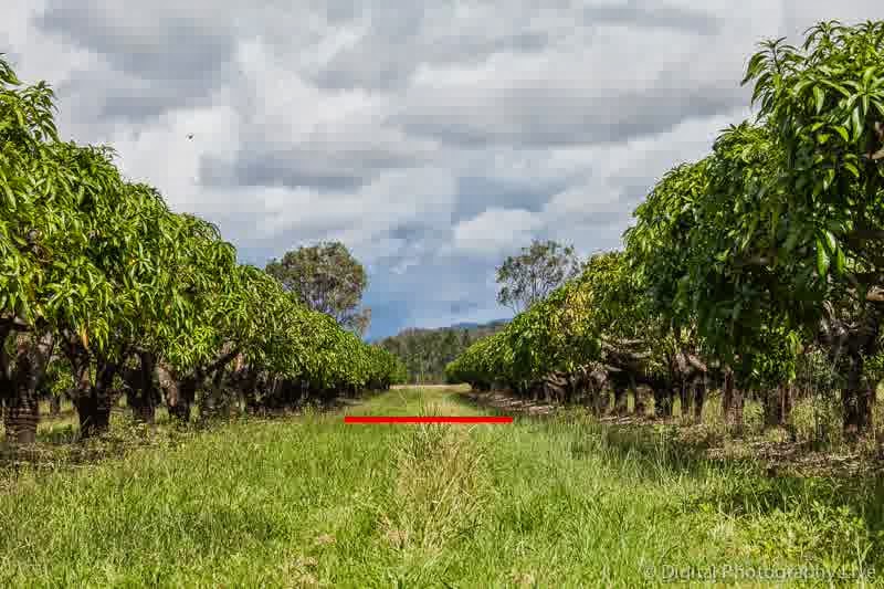 Tutorial Photography: Hyperfocal Distance