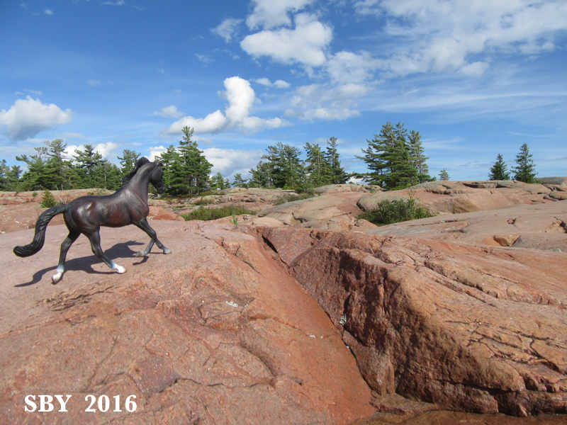 Timaru Star II: A visit to Shield rock