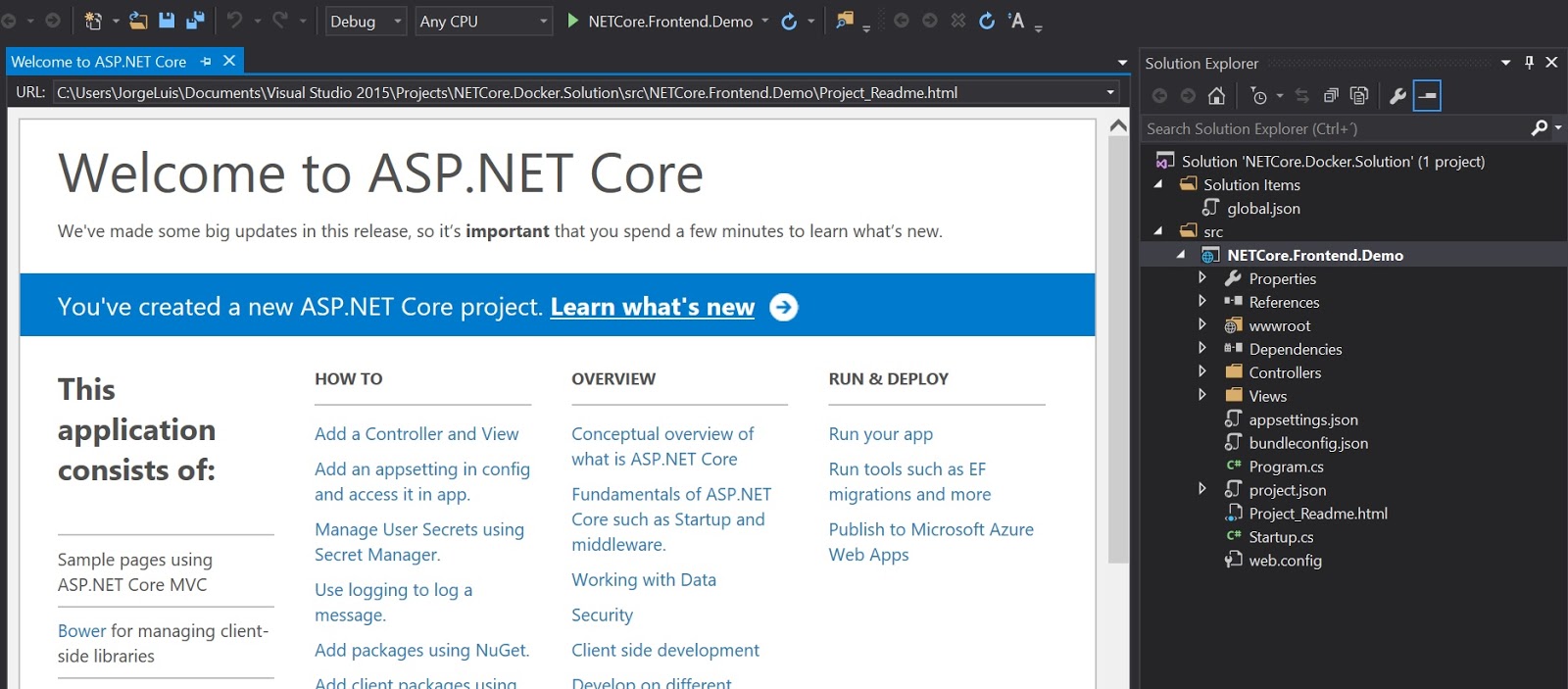 Como crear una aplicación .NET Core y almacenarla en un contenedor de Docker usando Visual Studio