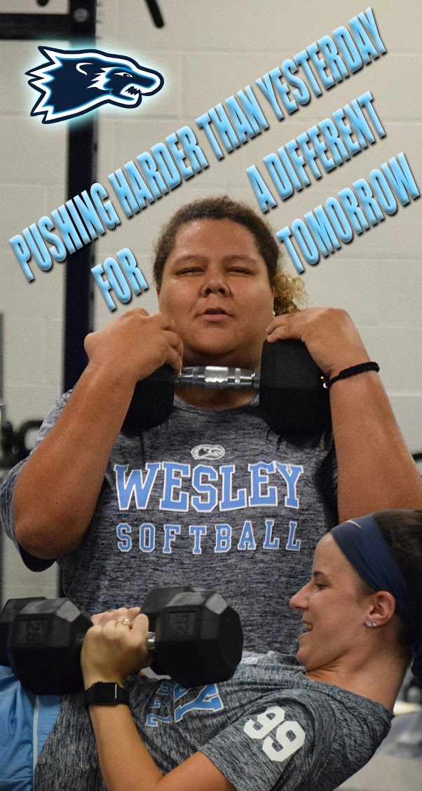 Wesley Wolverines Fastpitch Softball: PUSHING HARDER