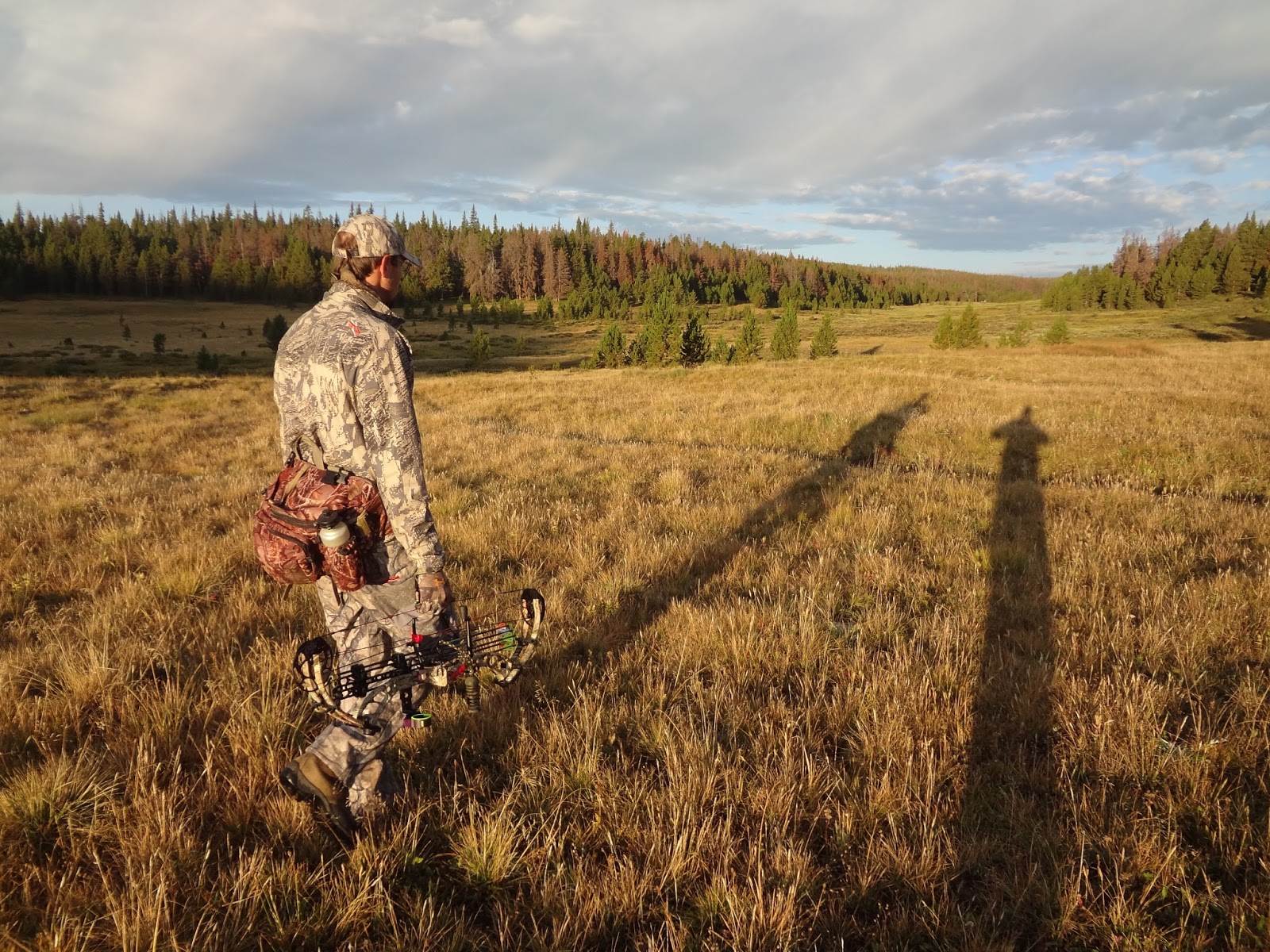 Solid Hookups: High Country CO Archery Bull Moose Hunt