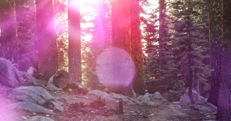 O QUE É A CHAMA VIOLETA | A minha alma canta