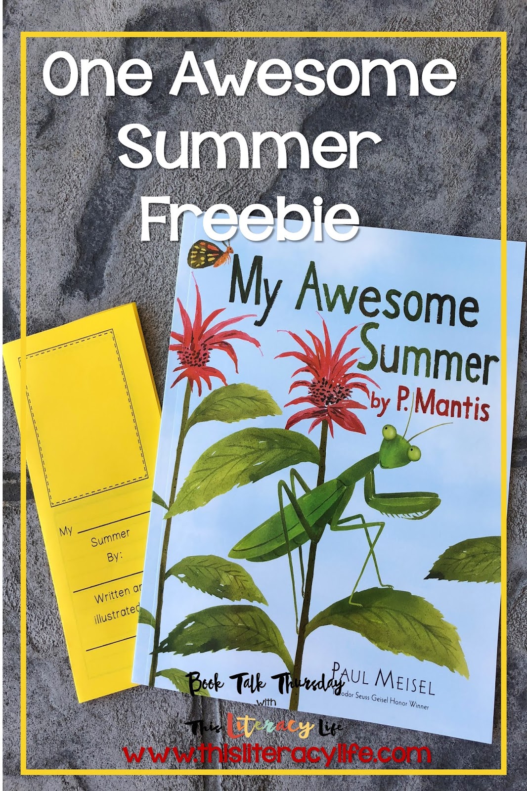 My Awesome Summer Freebie on Book Talk Thursday! | This Literacy Life