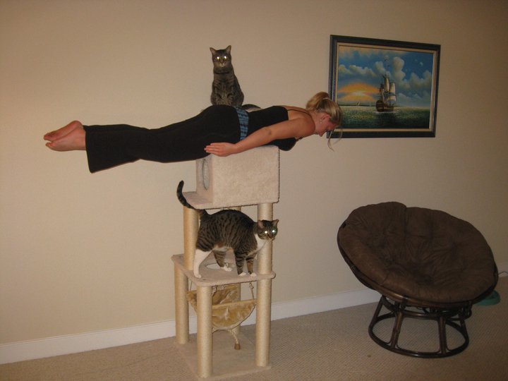 Satsugai Se-O: Cat planking