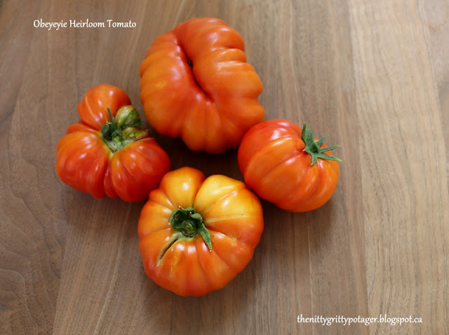The Nitty Gritty Potager: Tanja's Top Ten Tomatoes 2015