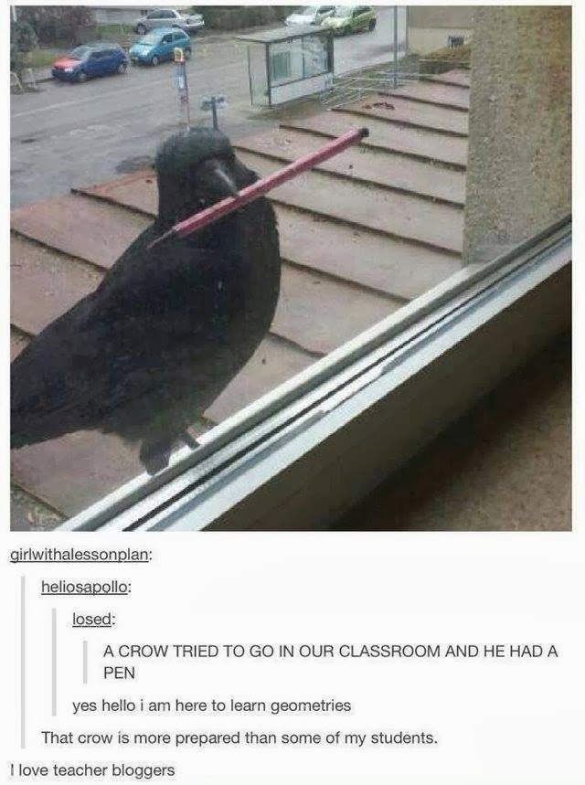A crow tried to go in our classroom and he had a pen, yes hello i am ...