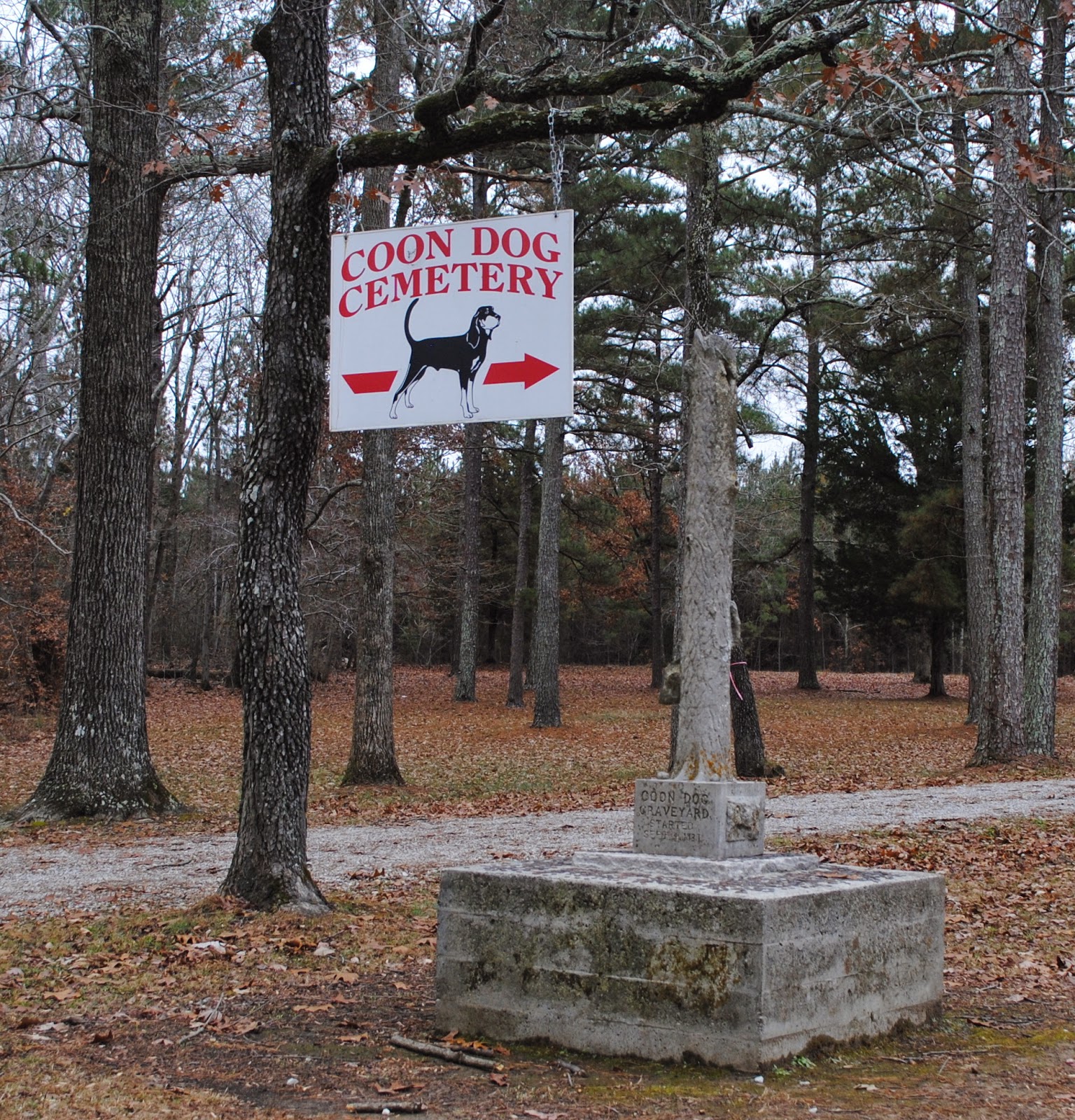 The Carpetbagger: The Coon Dog Cemetery