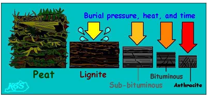 COAL (Batubara) | WidyKaa