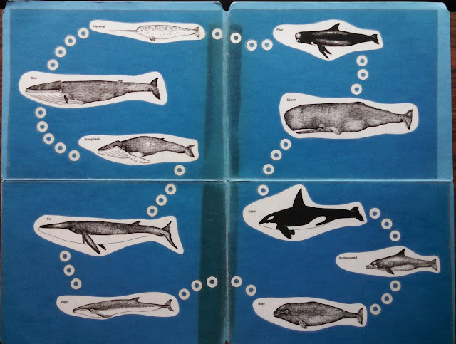 Games For Learning: Whales, Whales, Whales