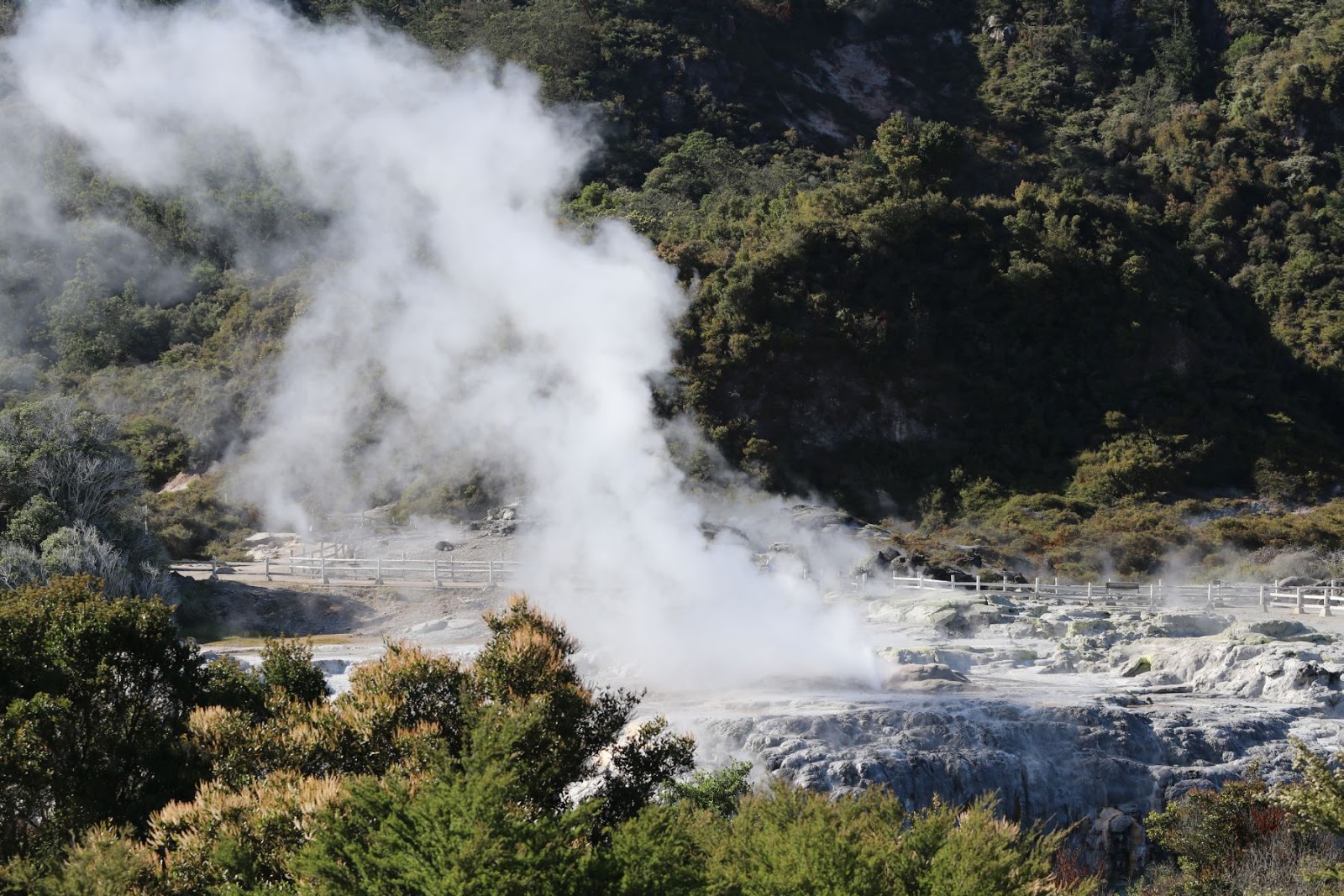 Uus-Meremaa: Auckland-Matamata-Rotorua