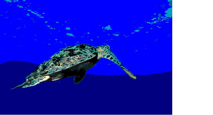 Feng Shui 8 Mansions: Feng Shui Celestial Creatures-Black Turtle