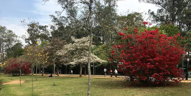 Primavera 2017: Veja as características da estação das flores ~ Áreas ...
